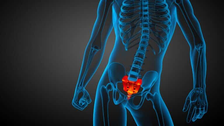 Cóccix - Sou Enfermagem