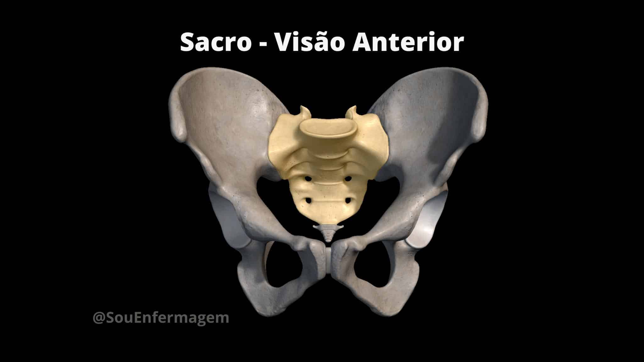 Fisiologia - Sou Enfermagem
