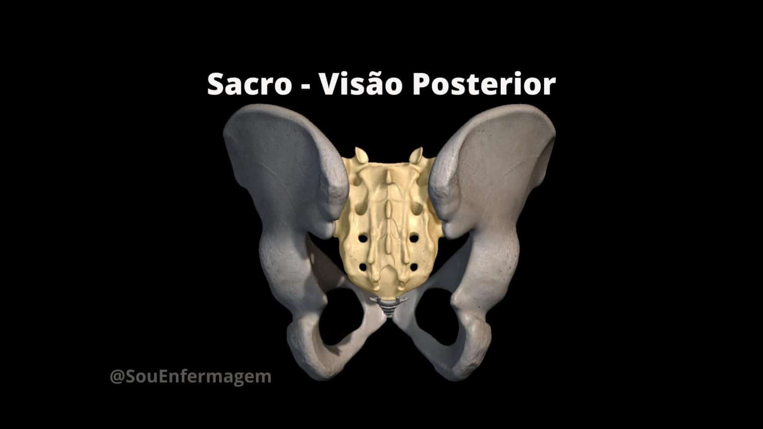 Sacro - Sou Enfermagem