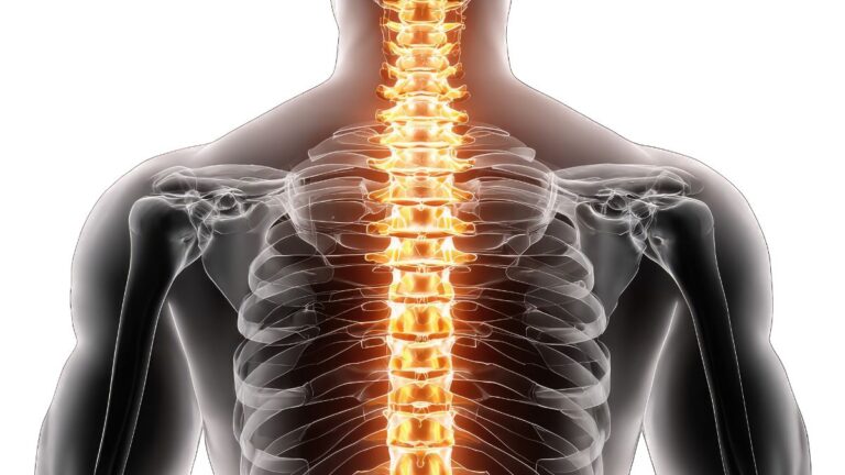 Anvisa avalia novo tratamento para lesão medular com polilaminina - Sou ...